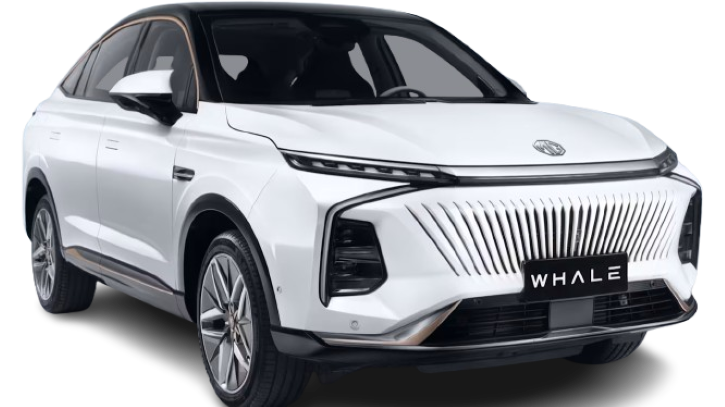 Land Rover Range Rover Vogue 2025 SV-4.4T-vs-MG Whale 2024 COM-2.0T