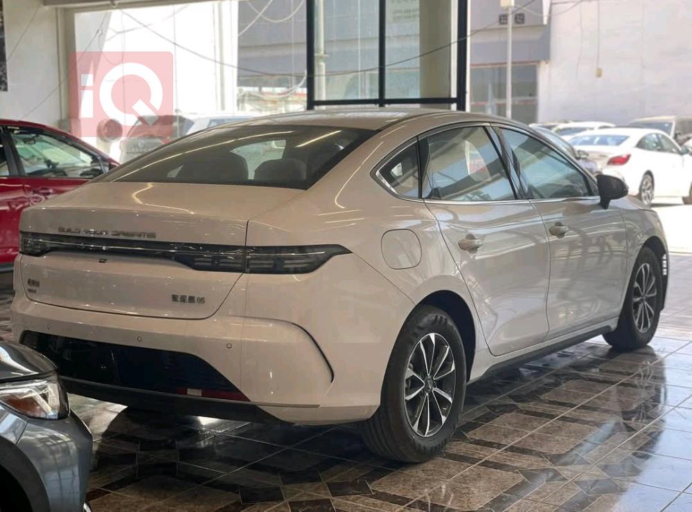 BYD Qin Plus 2025 for sale